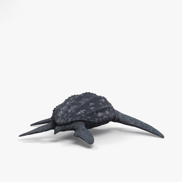 modelo 3d Tortuga marina Baula HD - TurboSquid 1361143