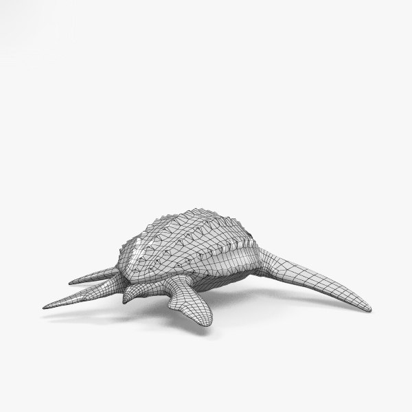 modelo 3d Tortuga marina Baula HD - TurboSquid 1361143