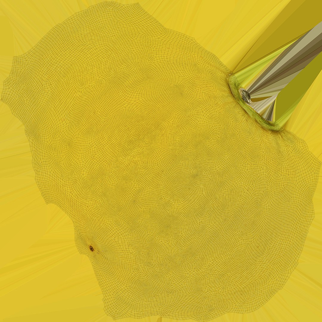 Lemon 02 Model - TurboSquid 2410411