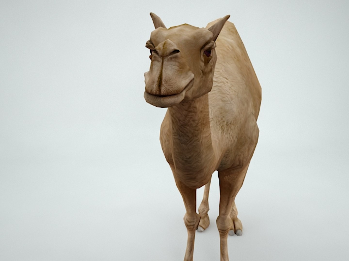 Camel 3d Model