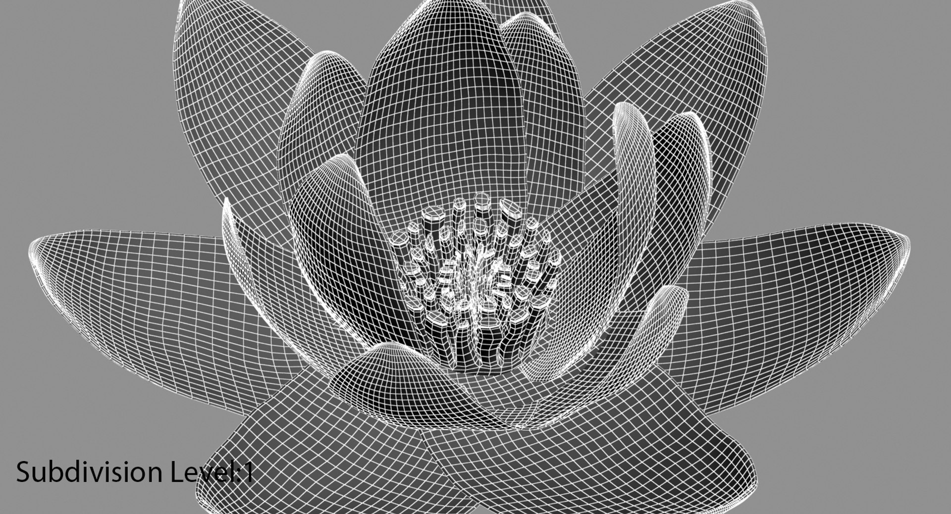 Free Max Model Flower