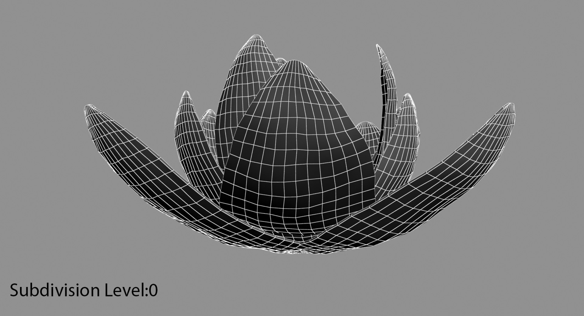 Free Max Model Flower