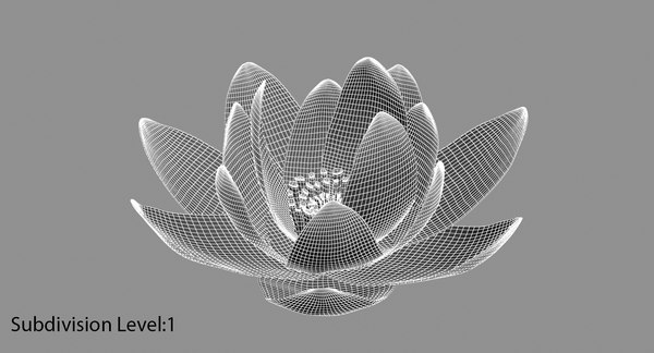 free max model flower