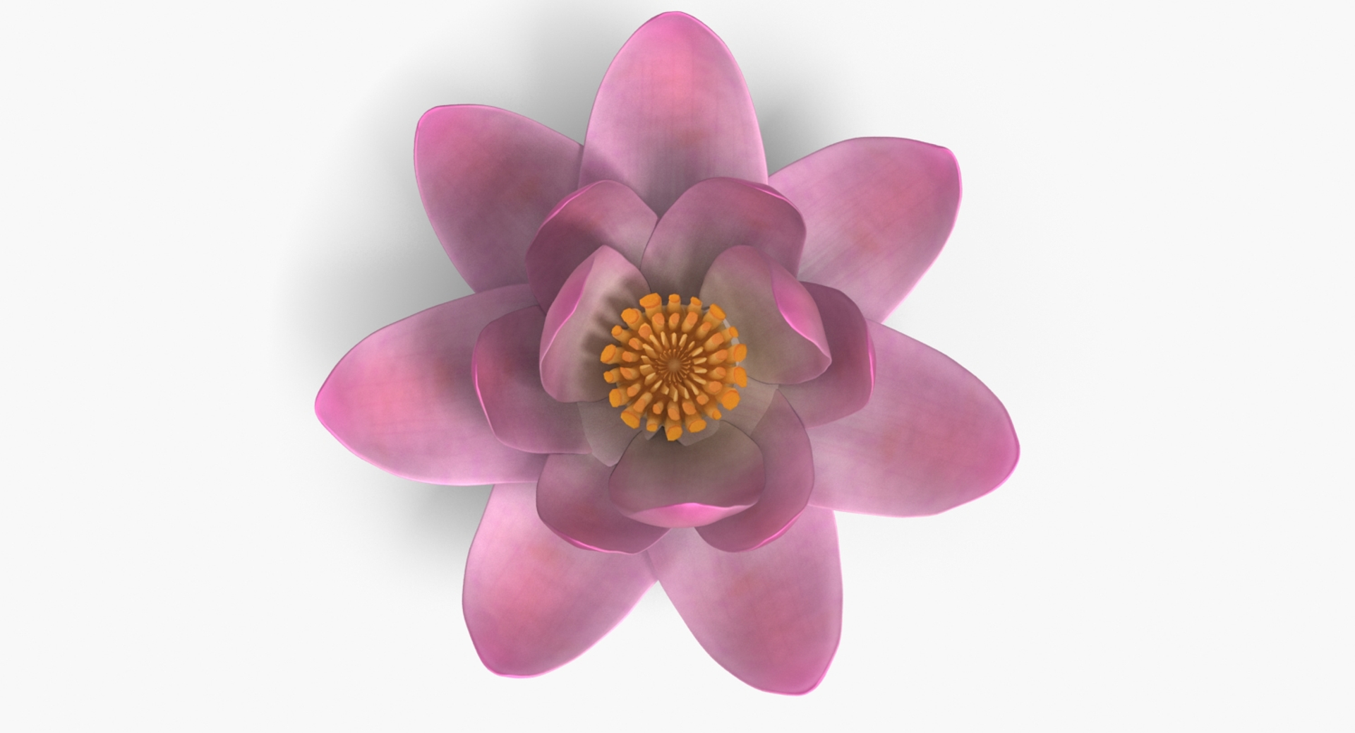 modelo 3d loto gratis - TurboSquid 1116825