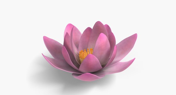 free max model flower