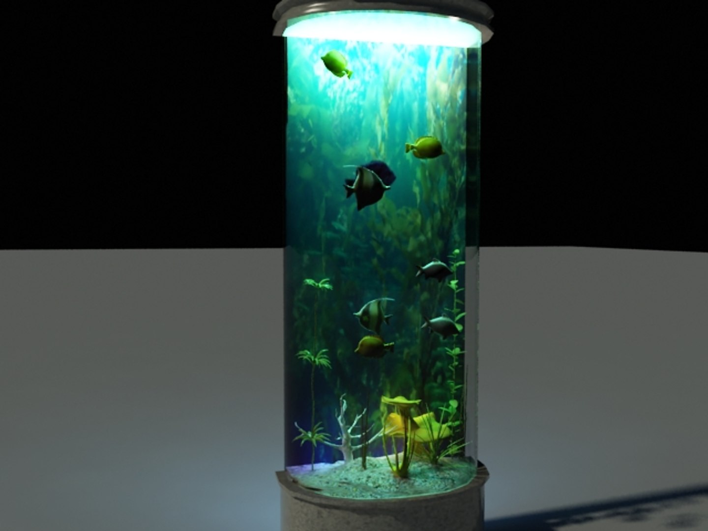 3d Model Aquarium Tropical Fish