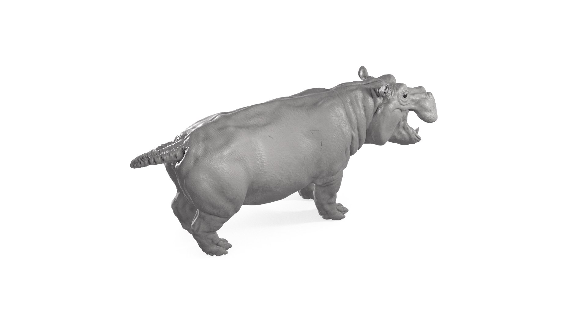 3D Hippopotamus - TurboSquid 2322536