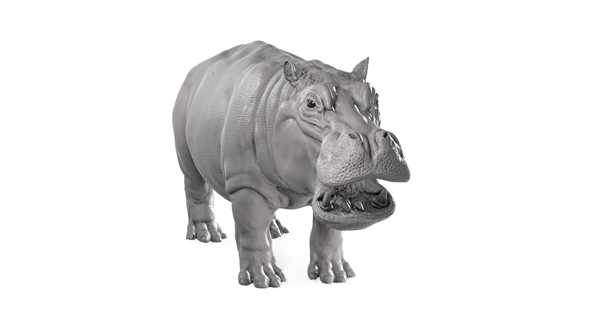3D Hippopotamus - TurboSquid 2322536