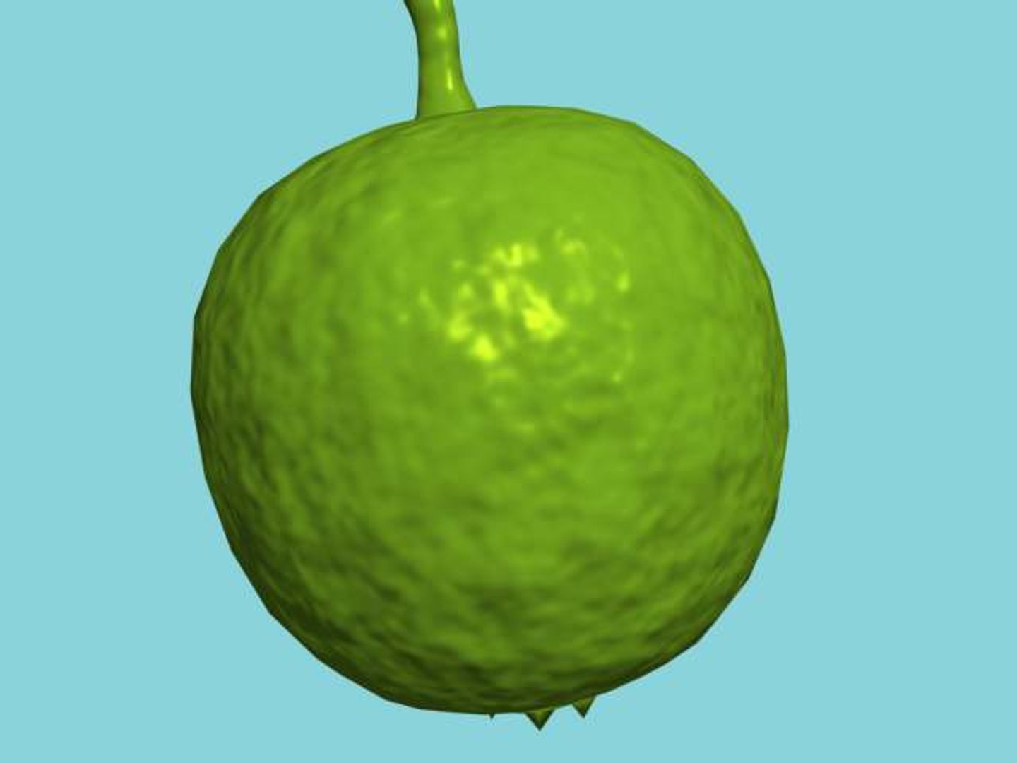 3d Max Fruit Guava