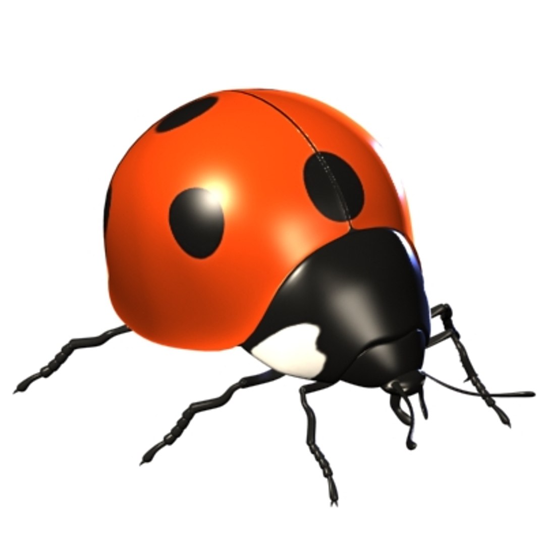 ladybug bug max