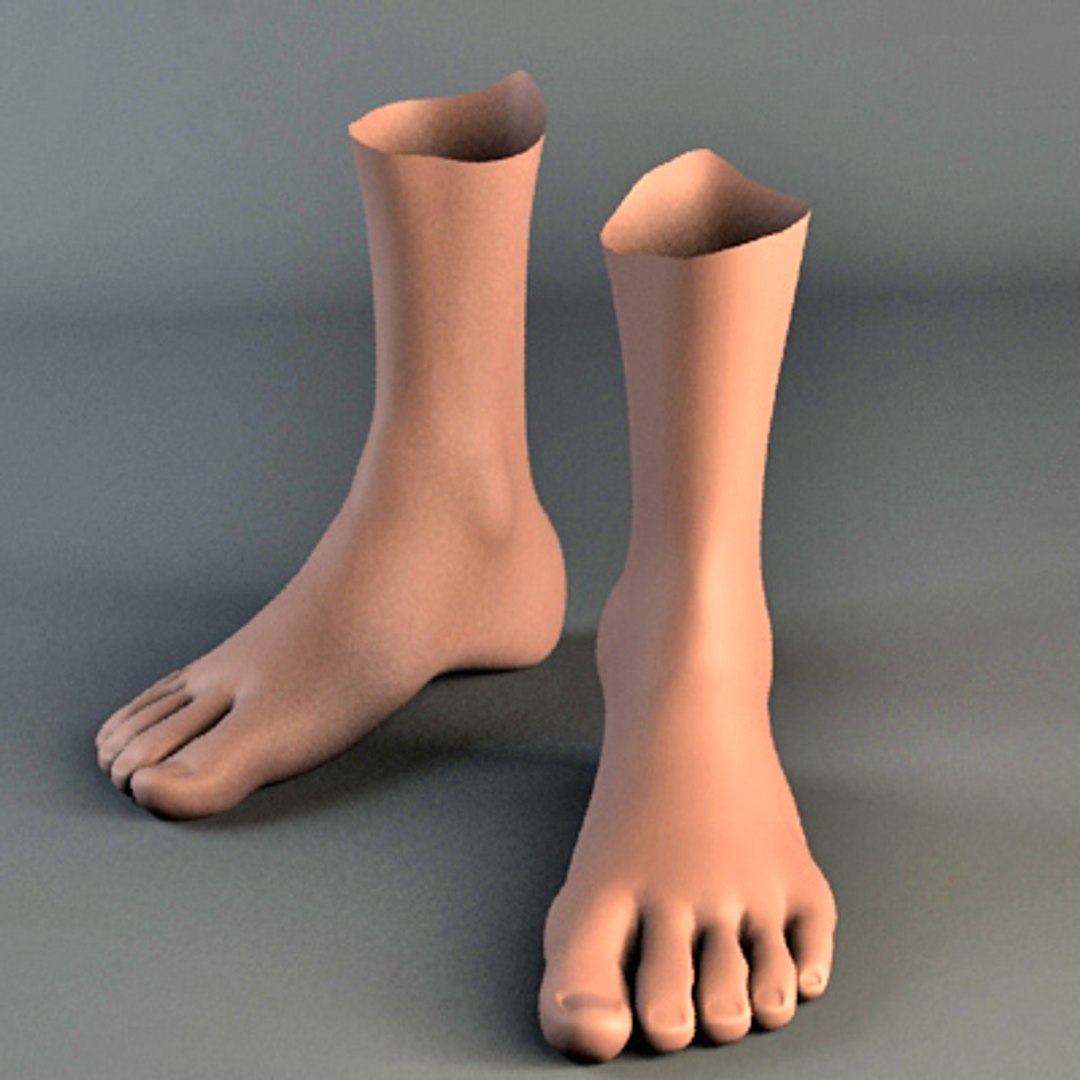 3d Human Foot Model