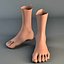 3d human foot model