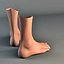 3d human foot model