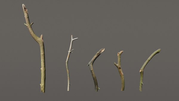 3d 5 sticks model