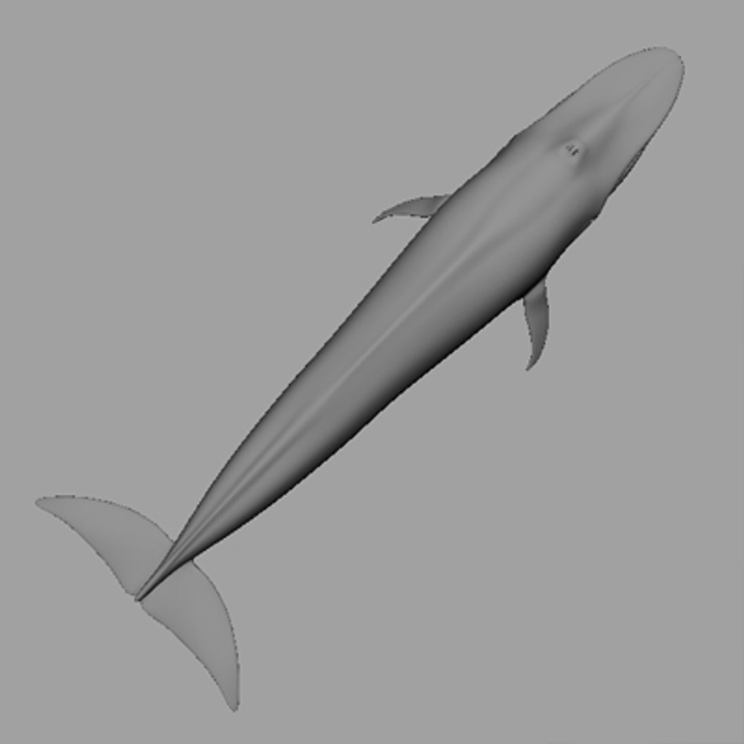 Obj Blue Whale