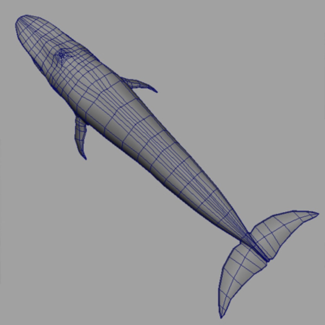 Obj Blue Whale