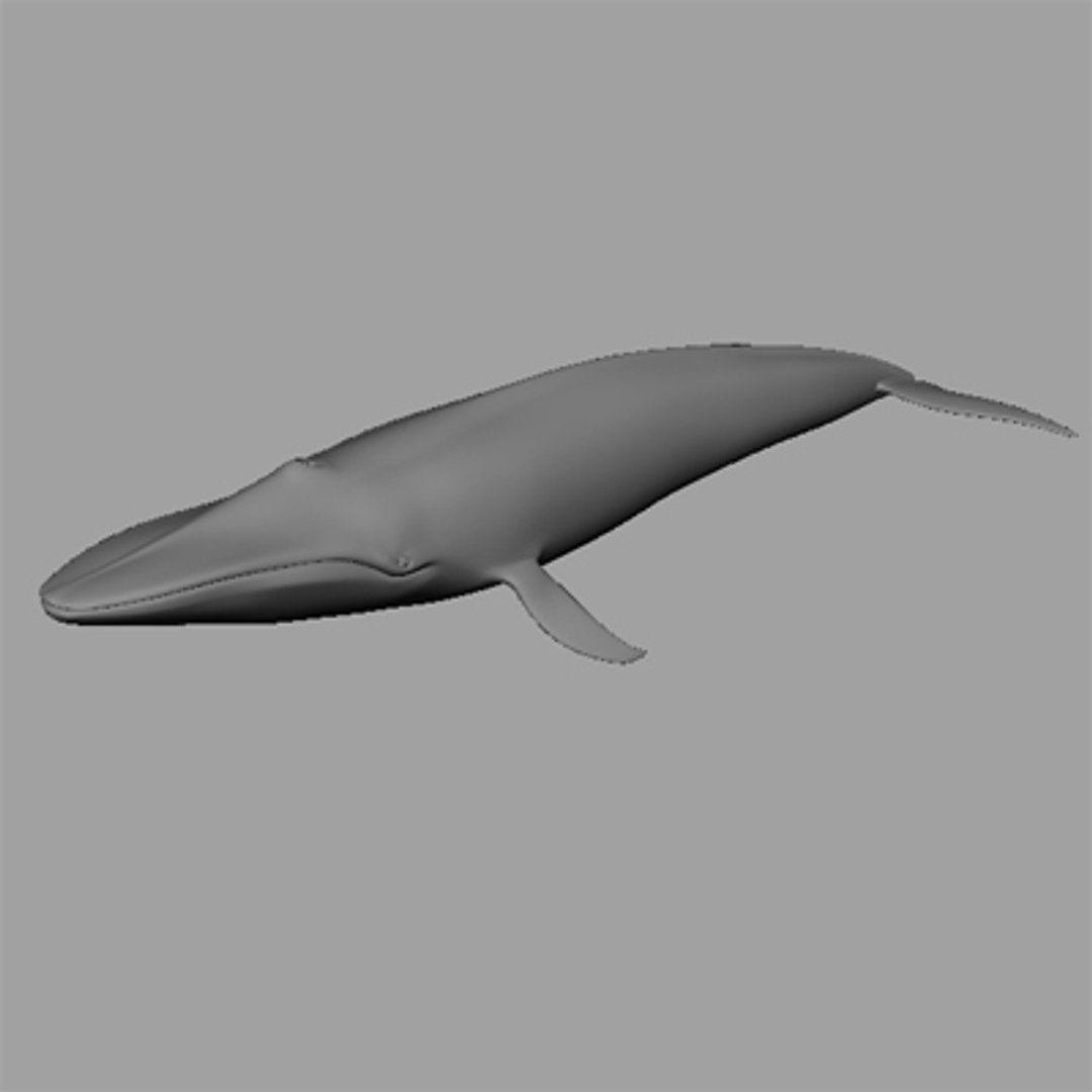 Obj Blue Whale