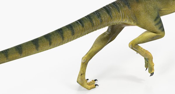 3D model compsognathus dinosaur run pose - TurboSquid 1284707