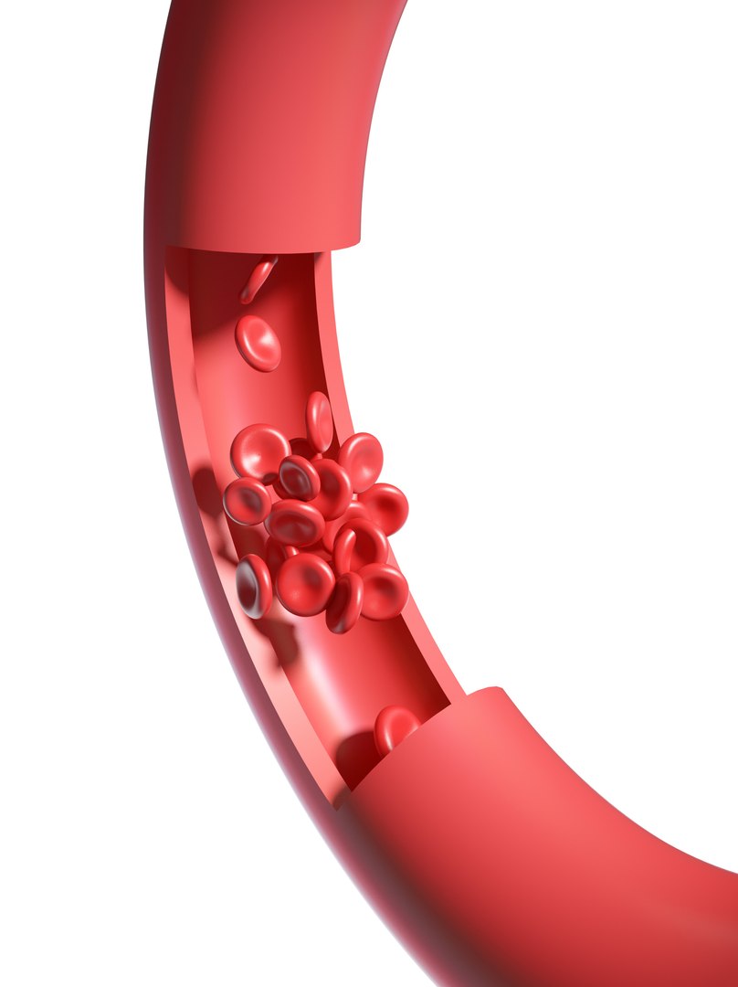 Vascular Close-up Medical Cell Red 3D Model - TurboSquid 2045294