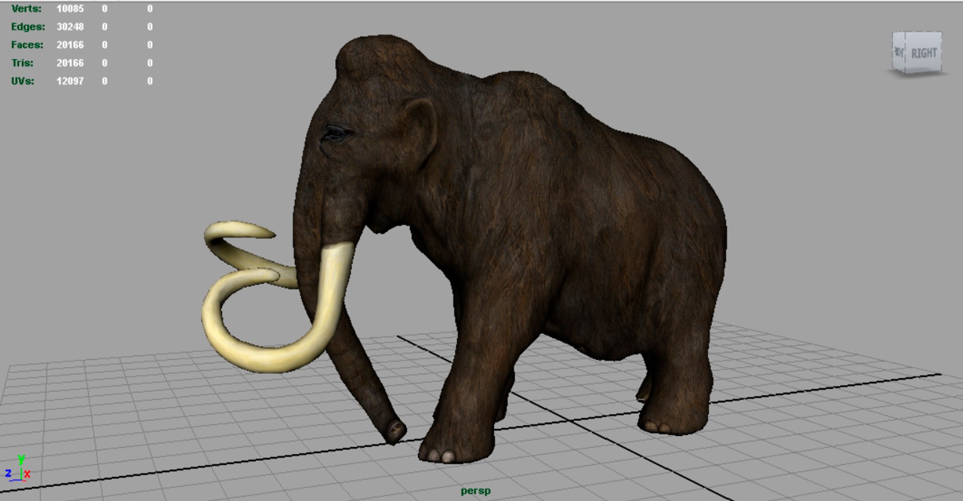3D Mammoth Model - TurboSquid 1219661