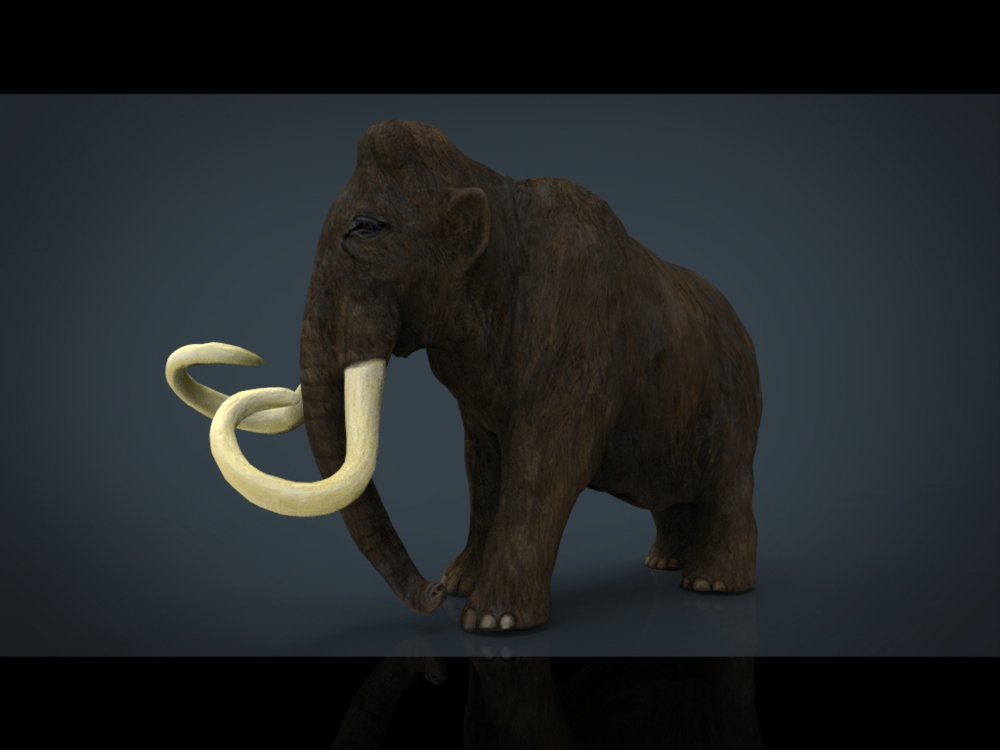 3D Mammoth Model - TurboSquid 1219661