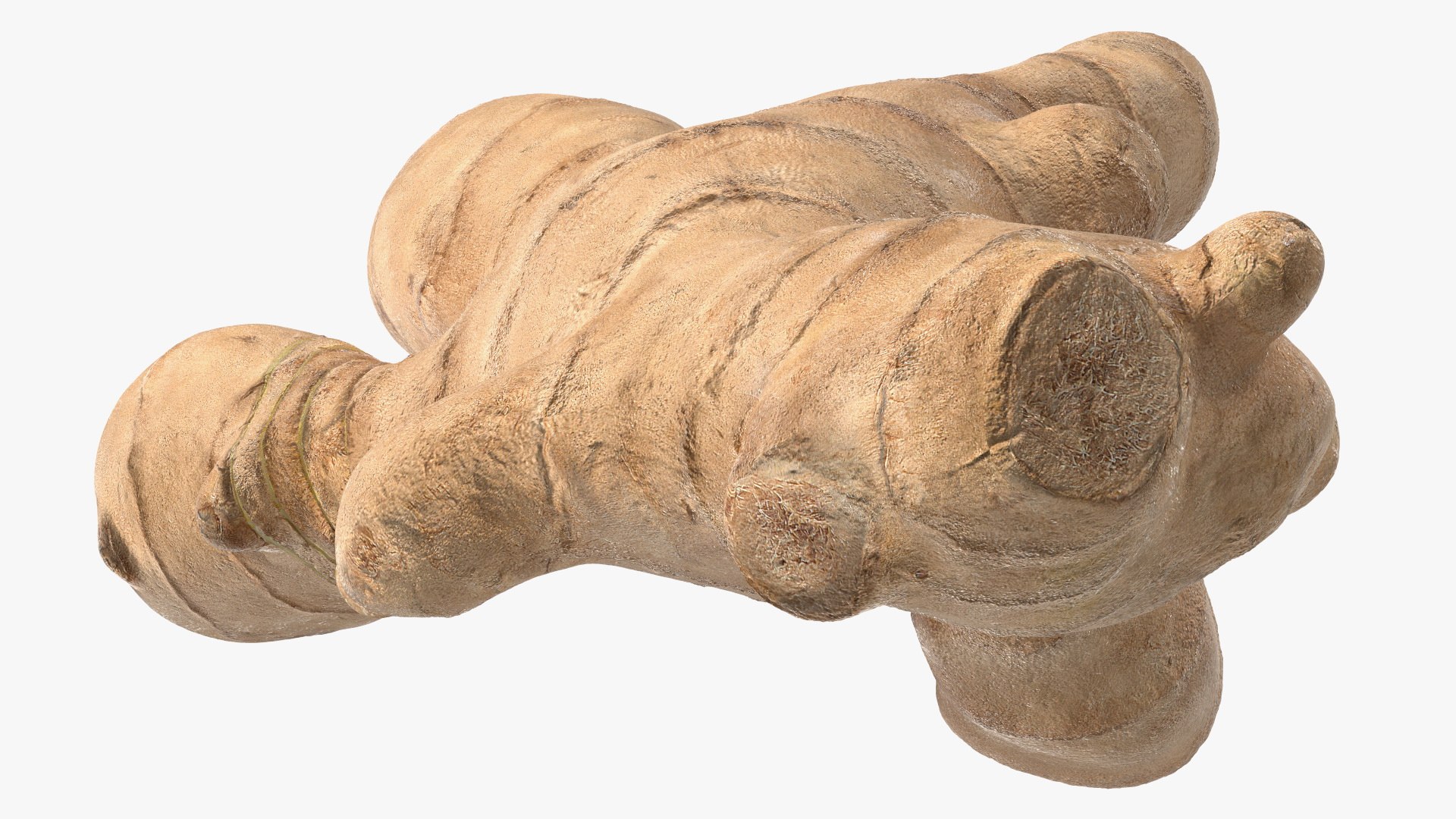 3D Ginger With Sliced Part Model - TurboSquid 1891097