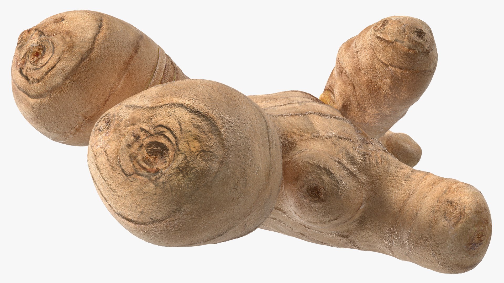 3D Ginger With Sliced Part Model - TurboSquid 1891097