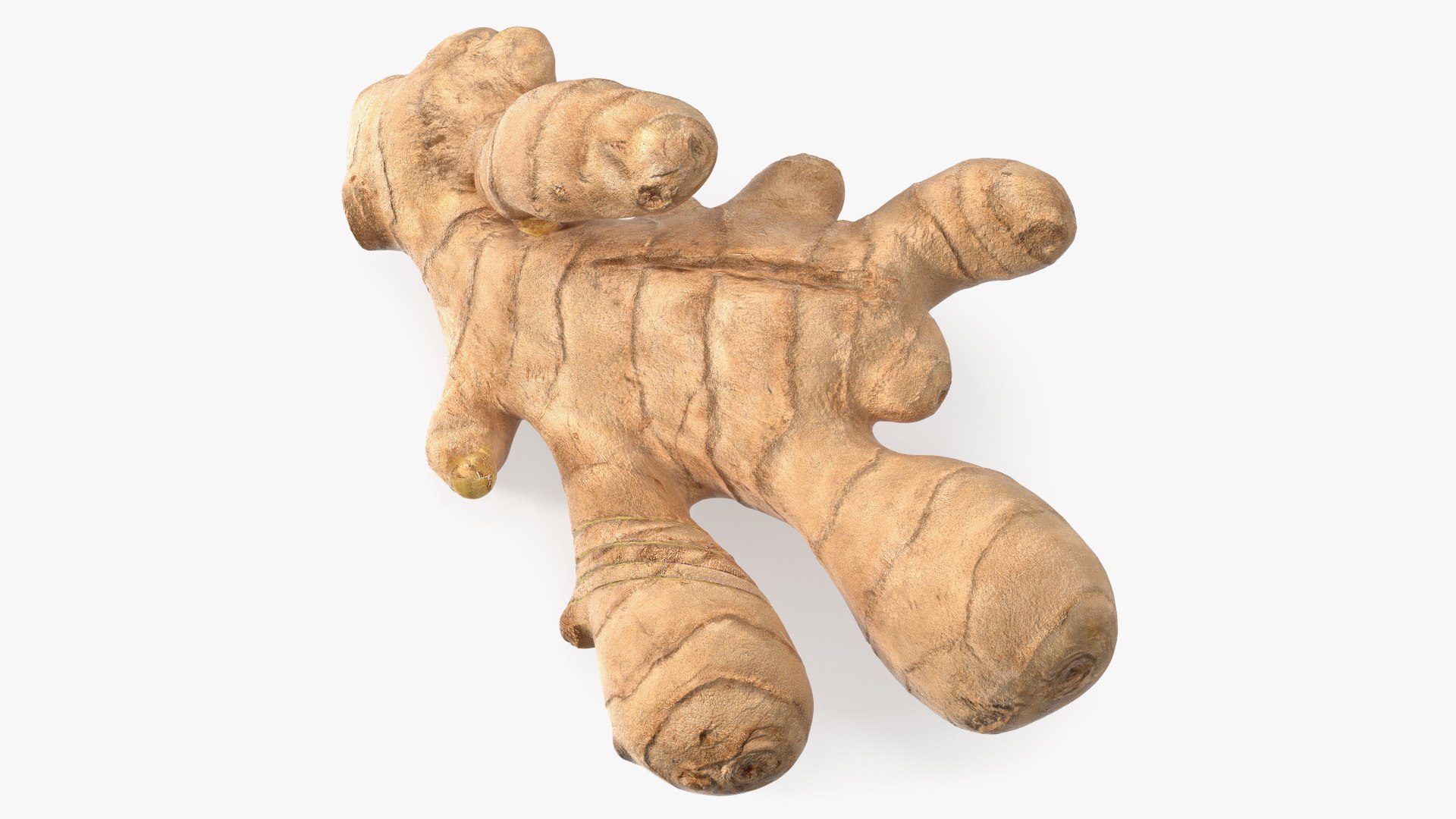3D Ginger With Sliced Part model - TurboSquid 1891097