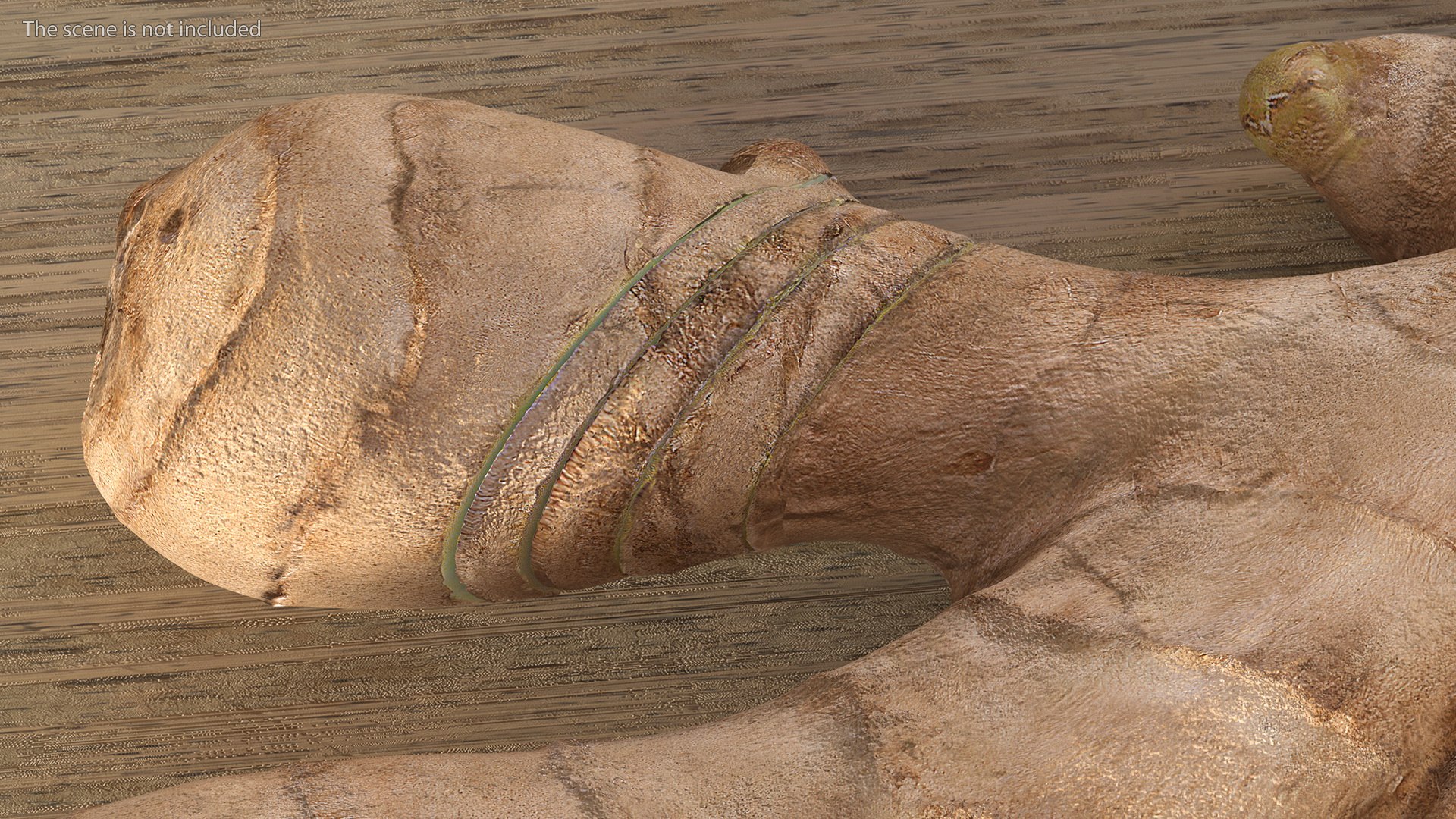 3D Ginger With Sliced Part Model - TurboSquid 1891097