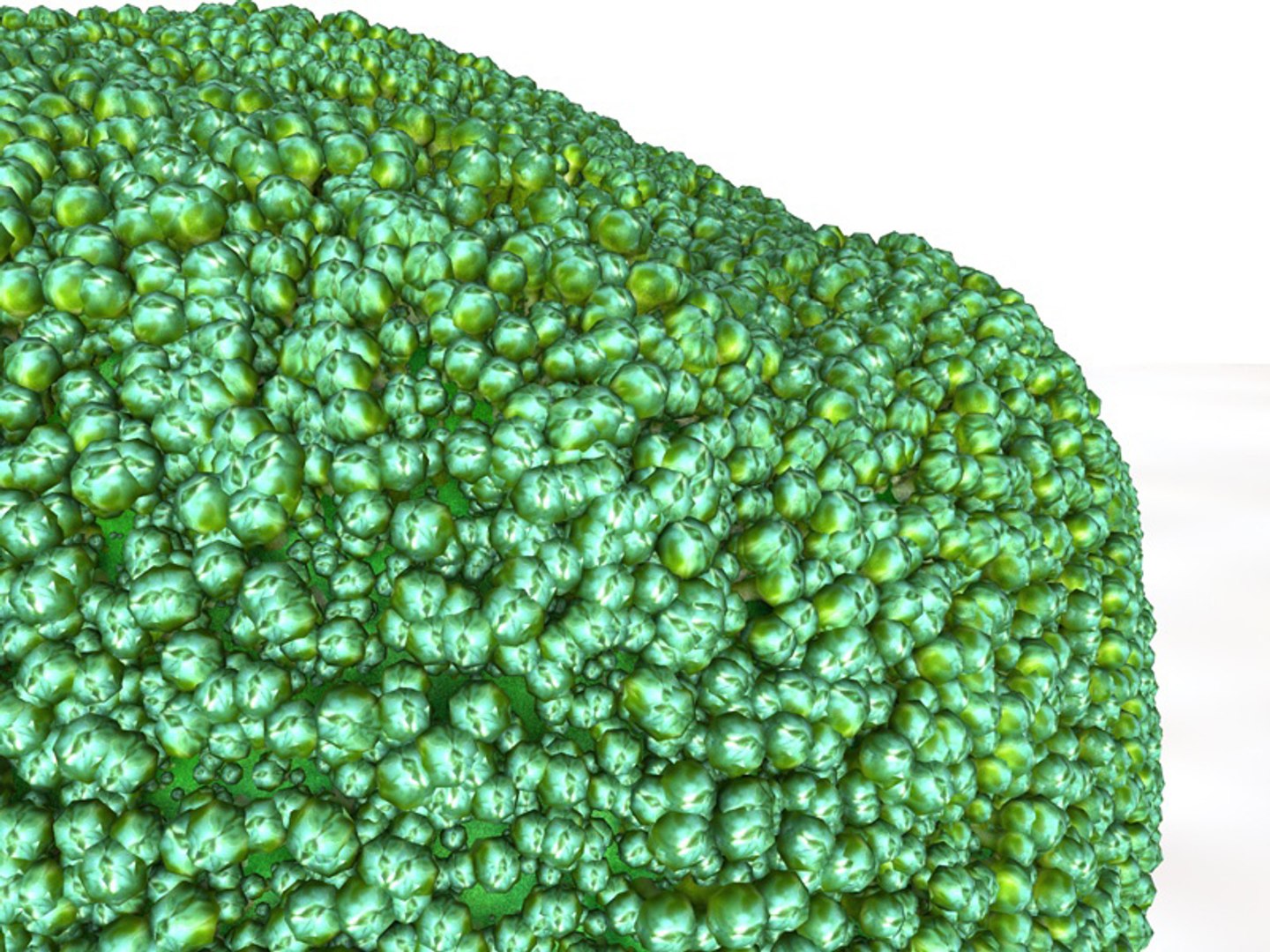 3D broccoli - TurboSquid 1544469