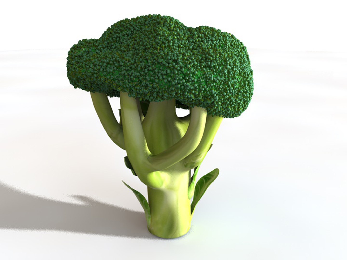 3D broccoli - TurboSquid 1544469