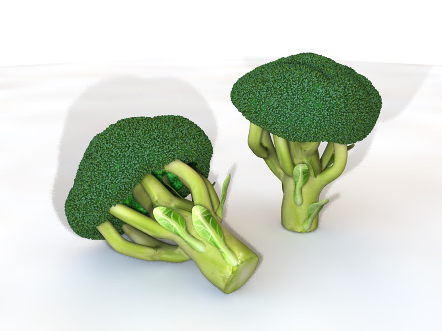 3D broccoli - TurboSquid 1544469
