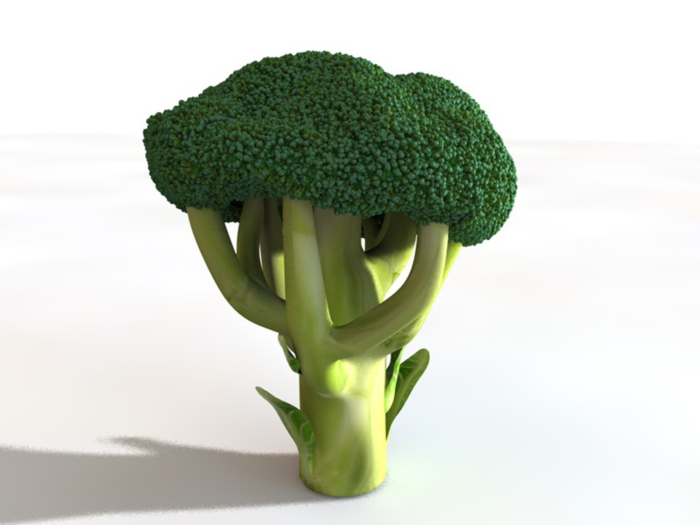 3D broccoli - TurboSquid 1544469