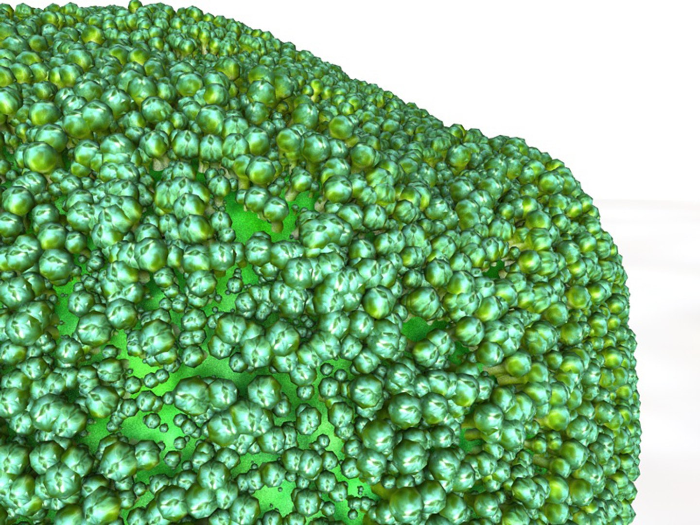 3D broccoli - TurboSquid 1544469