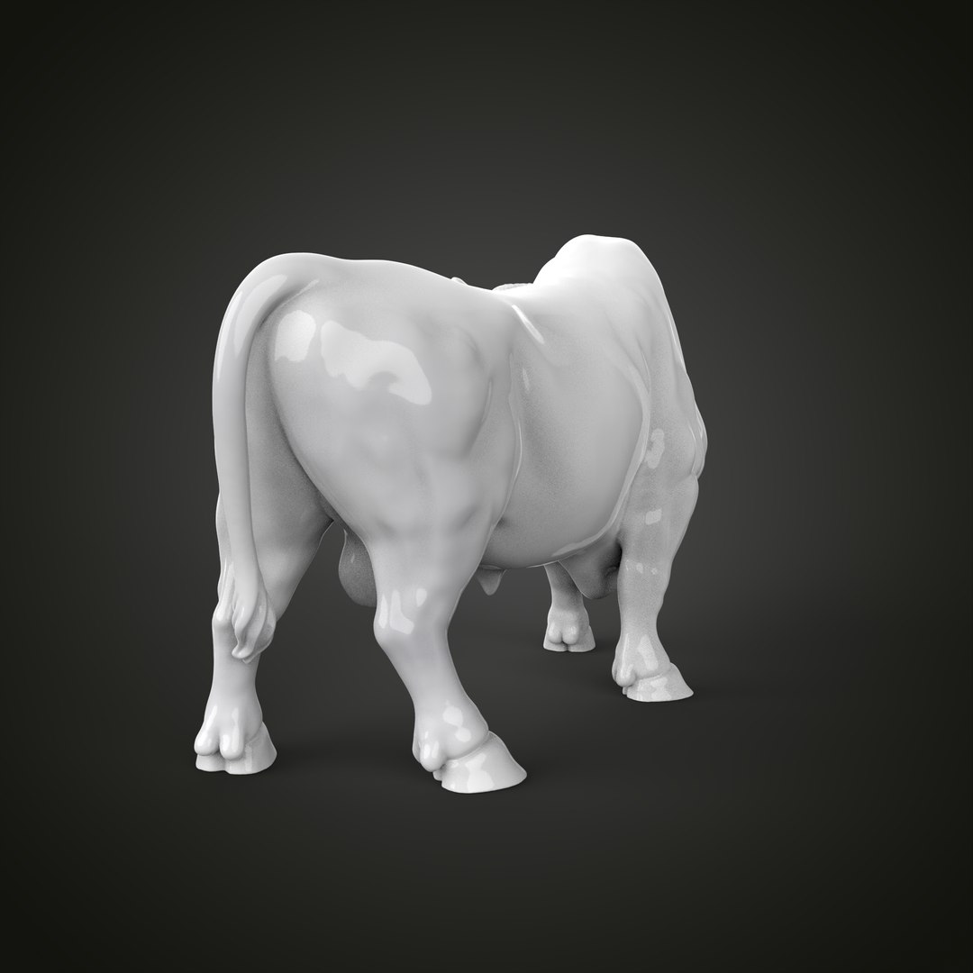Bull 3D Model - TurboSquid 1873442