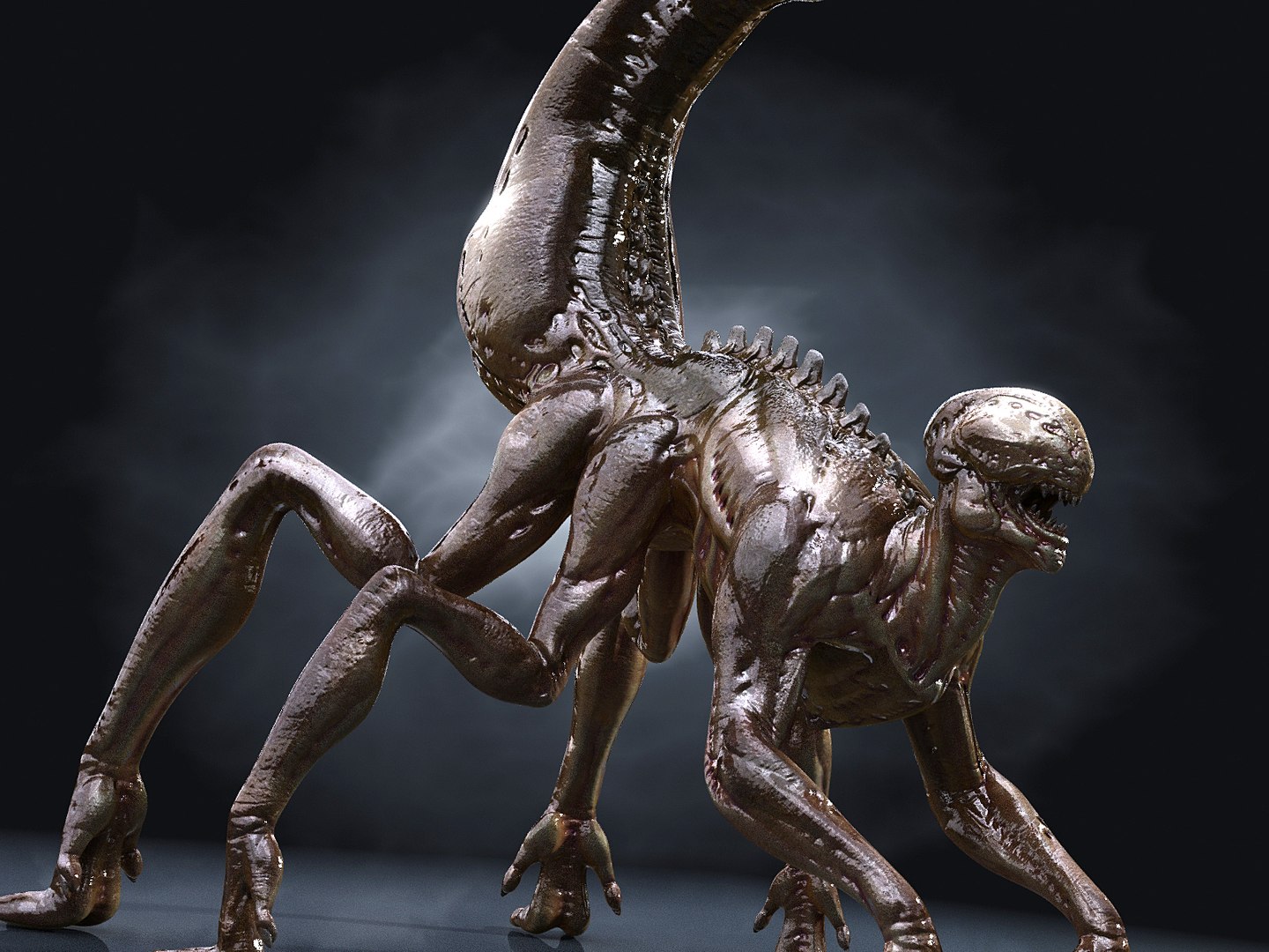 3D Xenomorph Hd Model - TurboSquid 1204224