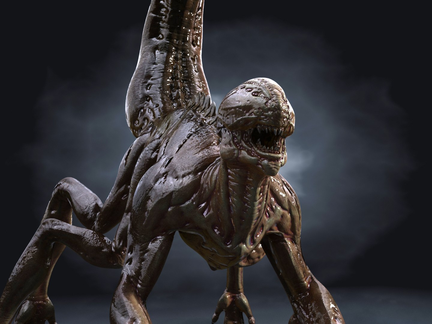 3D Xenomorph Hd Model - TurboSquid 1204224