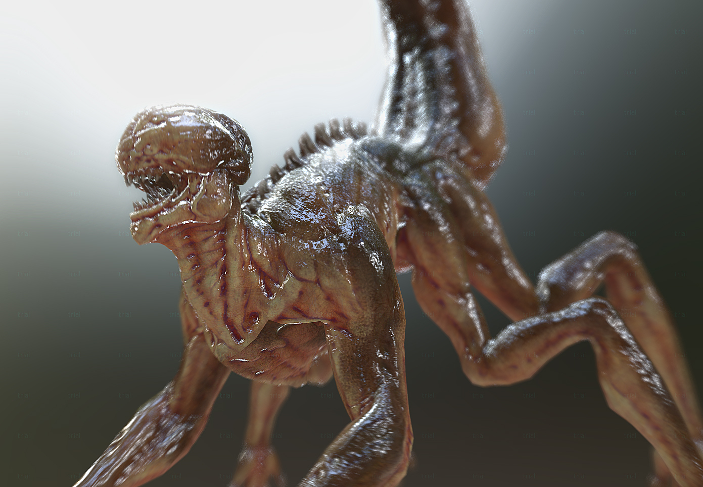 3D xenomorph hd model - TurboSquid 1204224