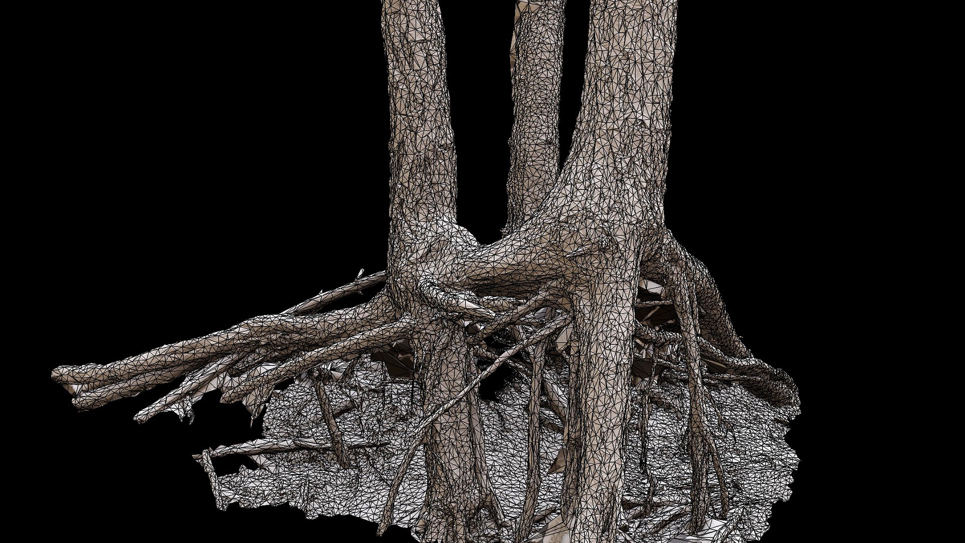 Trees Pine Wide Roots Terrain Photogrammetry 3D Model - TurboSquid 2339518