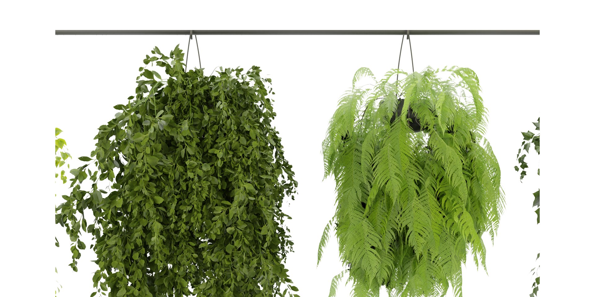 3D Collection Plant Vol 360 - Blender Model Model - TurboSquid 2094294