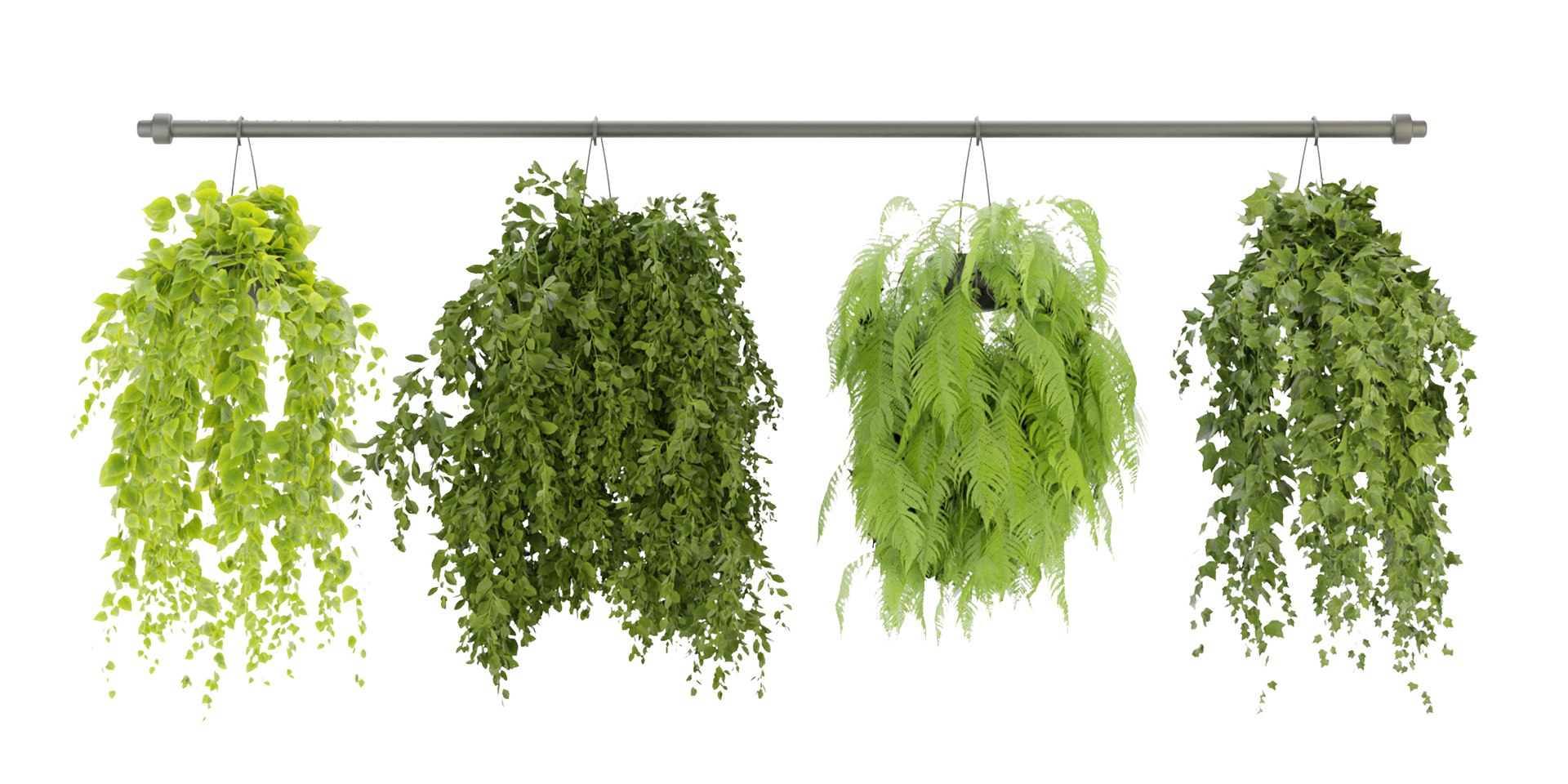 3D Collection Plant Vol 360 - Blender Model Model - TurboSquid 2094294