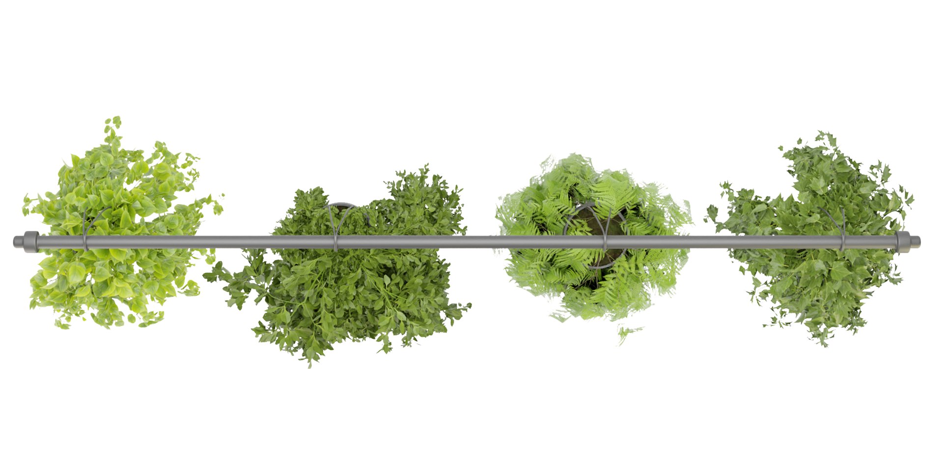 3D Collection Plant Vol 360 - Blender Model Model - TurboSquid 2094294