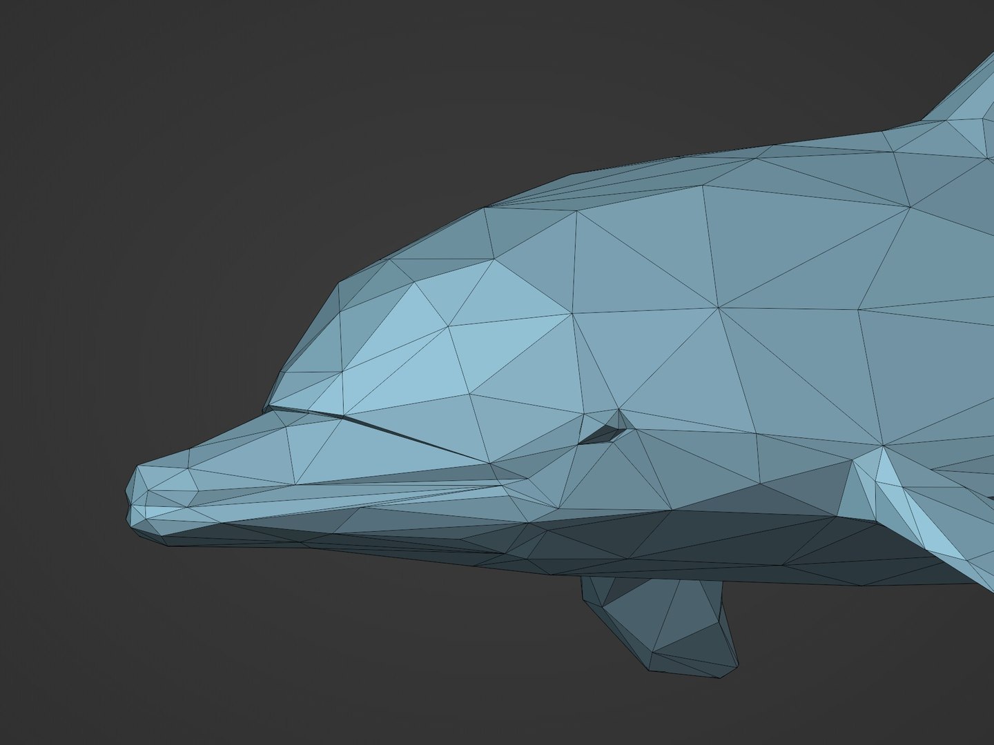 LowPoly Dolphin model - TurboSquid 1946865
