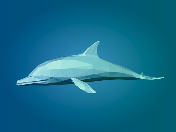 Dolphin Blender Models for Download | TurboSquid