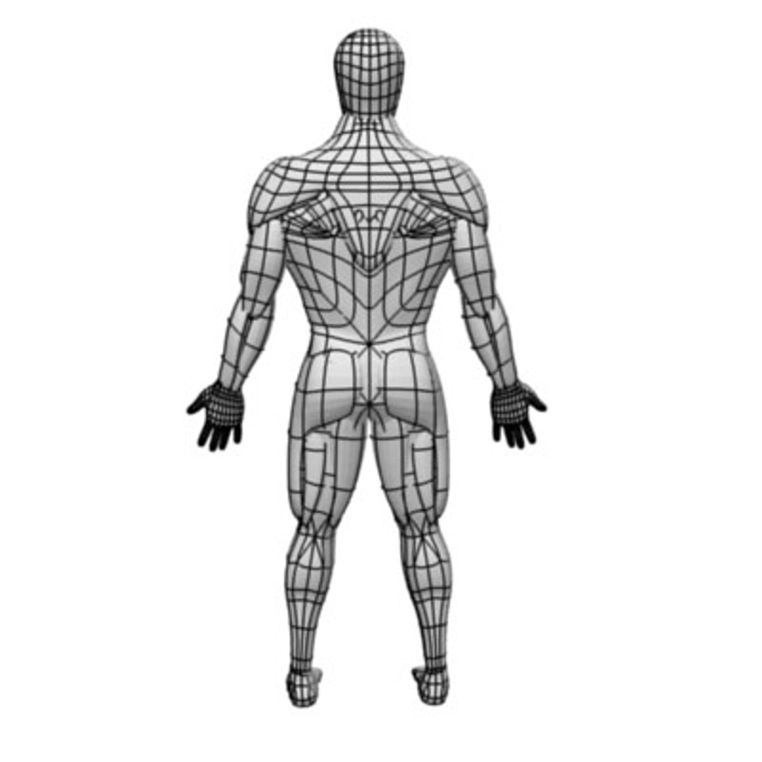 3d Muscular Male Muscles