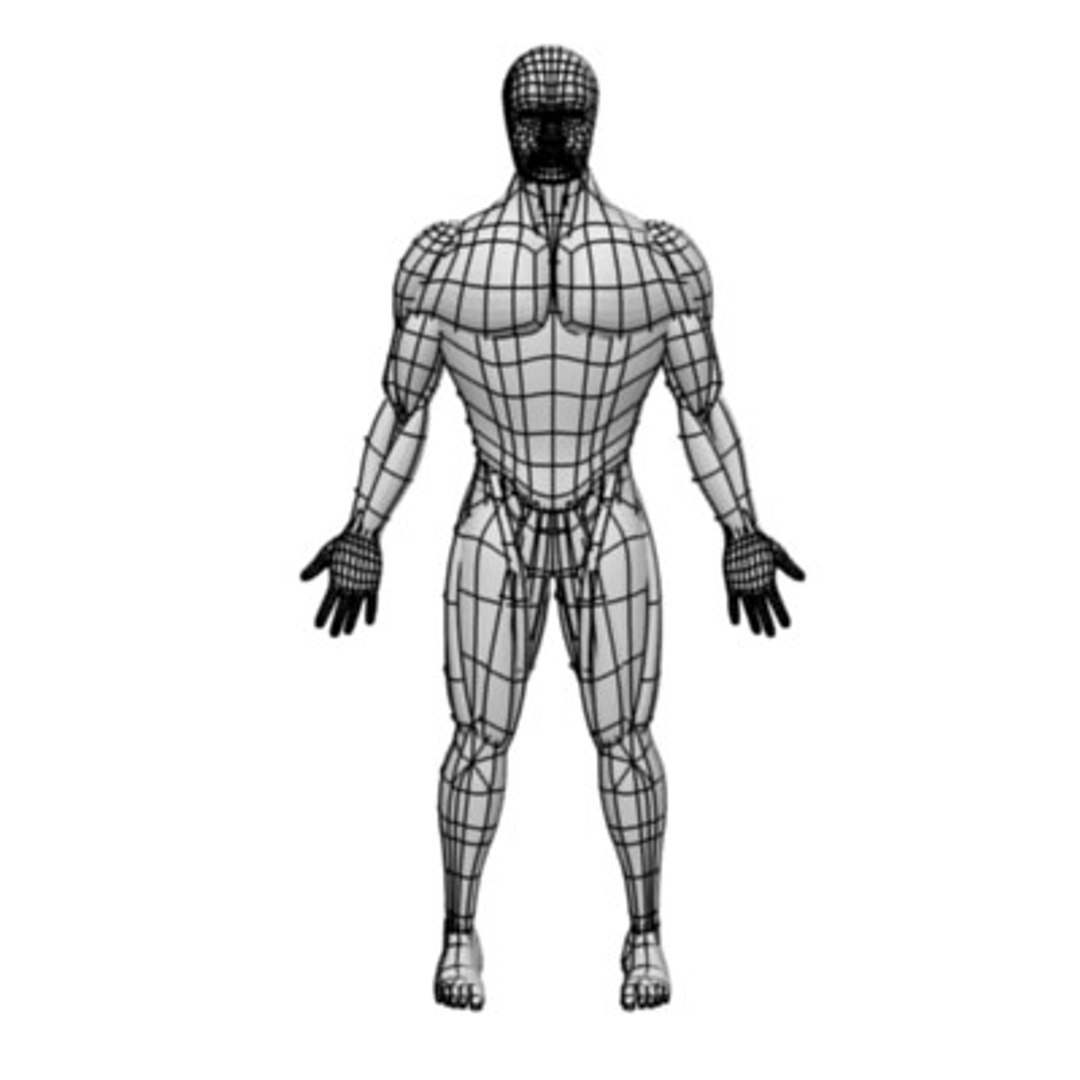 3d Muscular Male Muscles