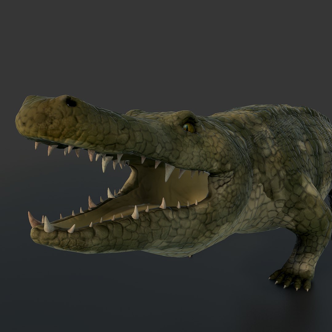 3d Realistic Crocodile