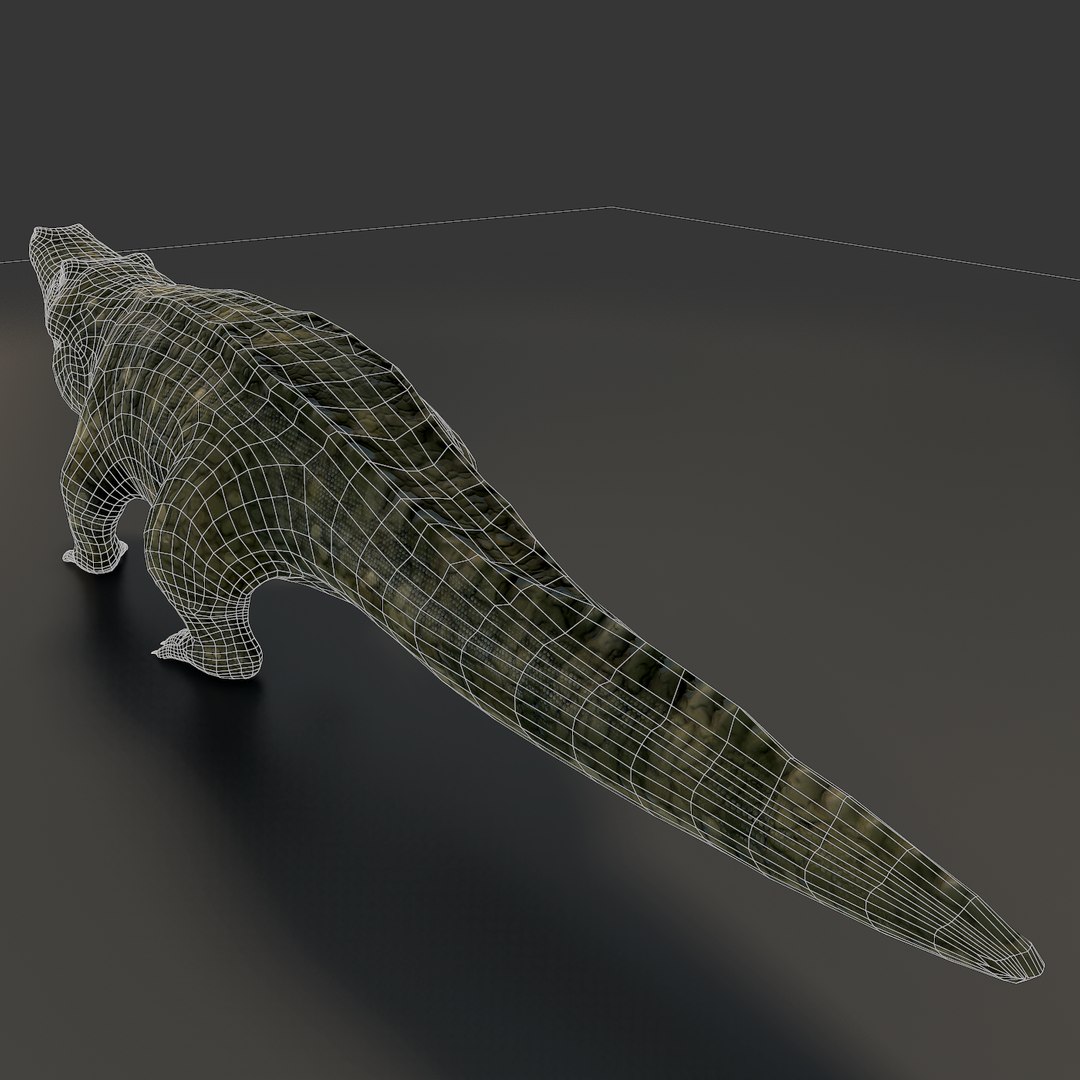 3d Realistic Crocodile