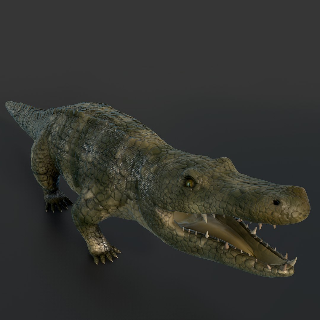 3d Realistic Crocodile