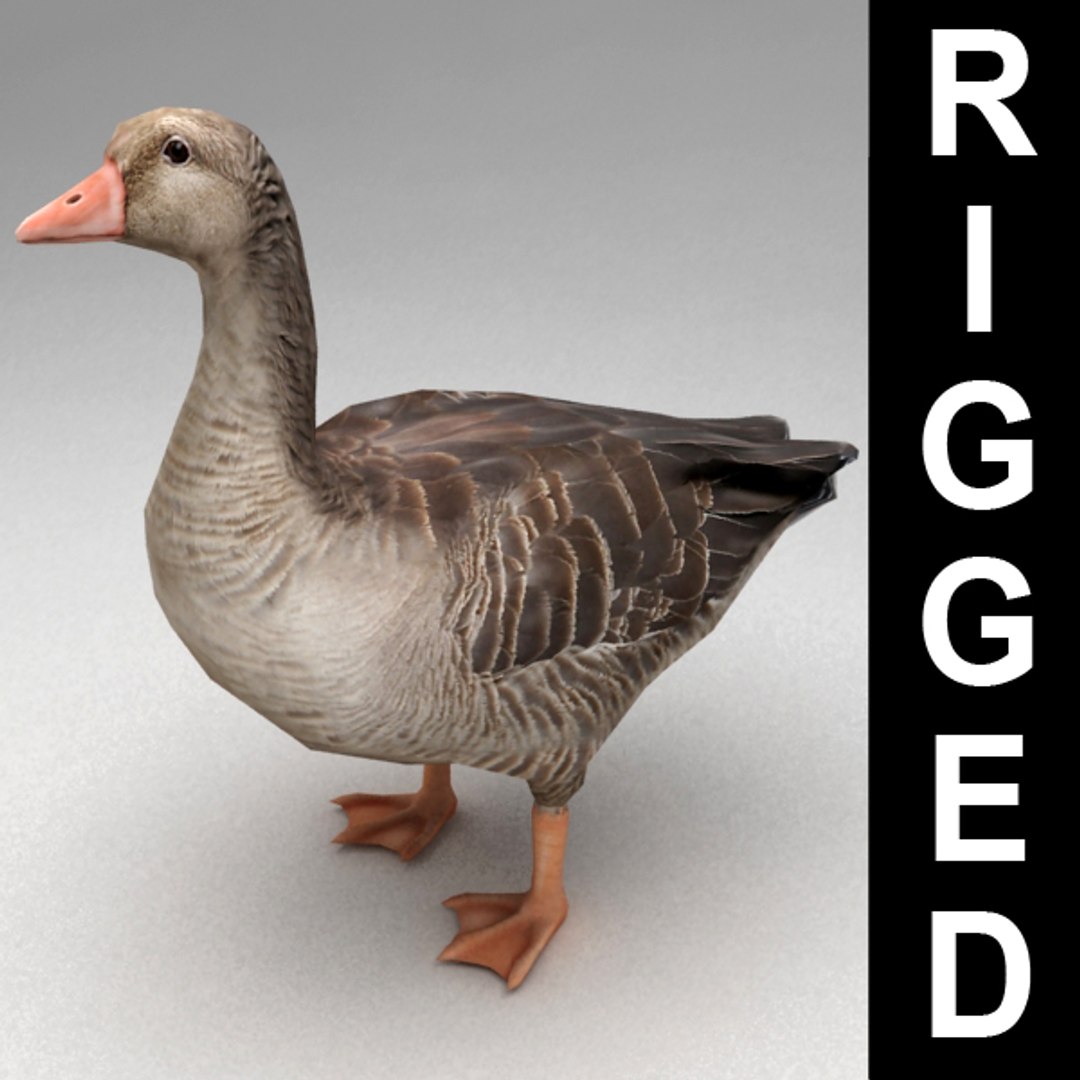 3d Max Rigged Goose